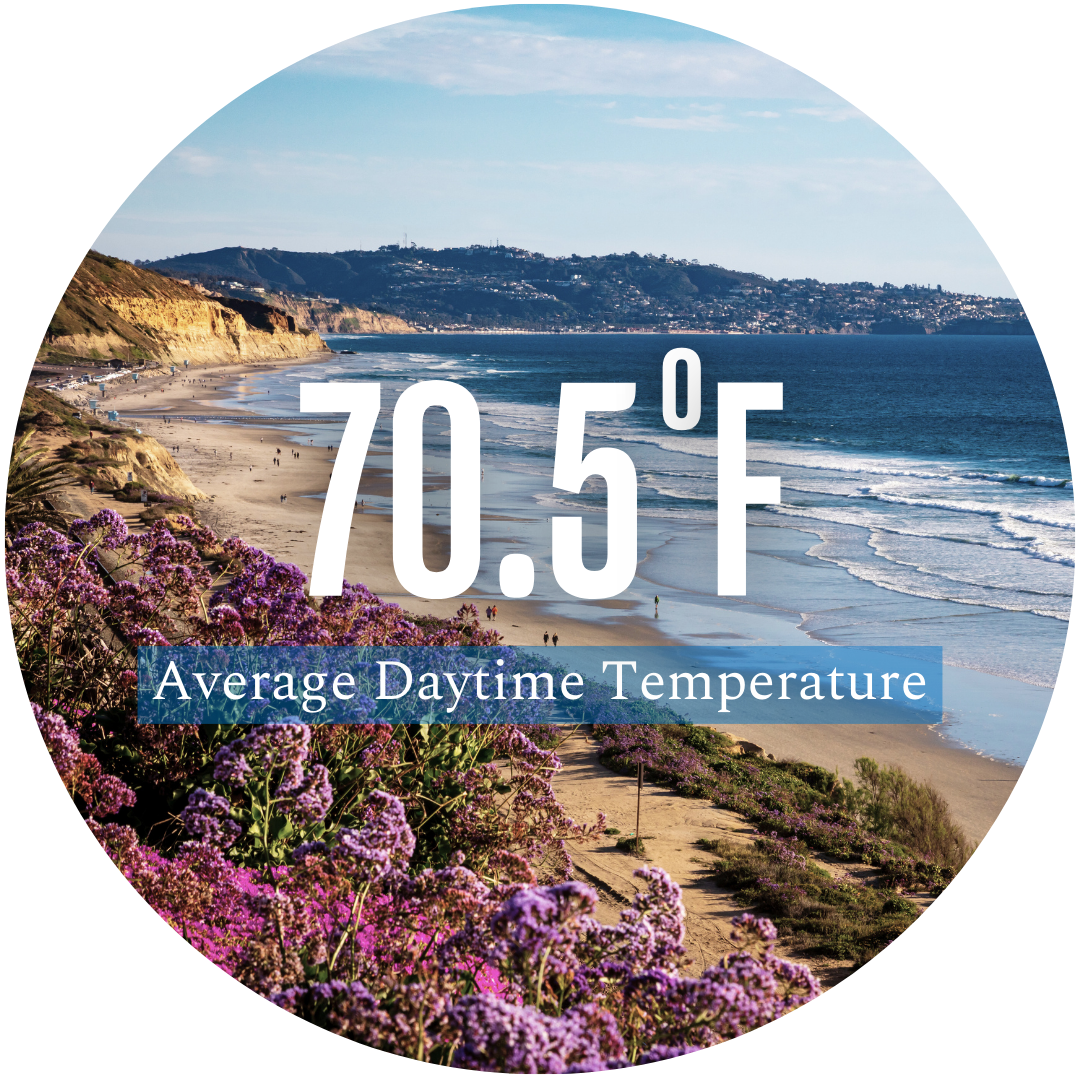 Knauss School of Business - The San Diego Guide